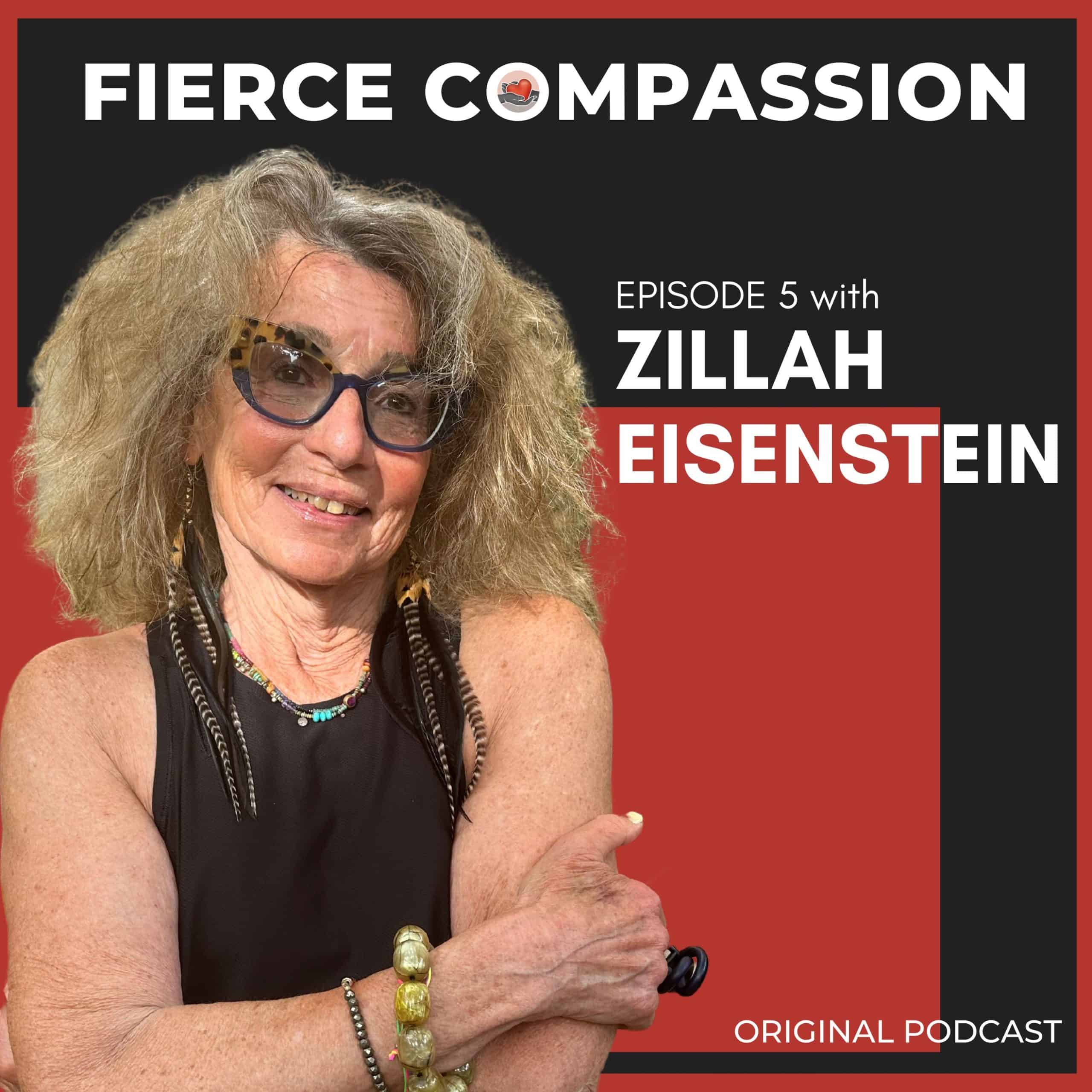 60 Years of Hope and Truth Telling with Zillah Eisenstein - How to Have ...